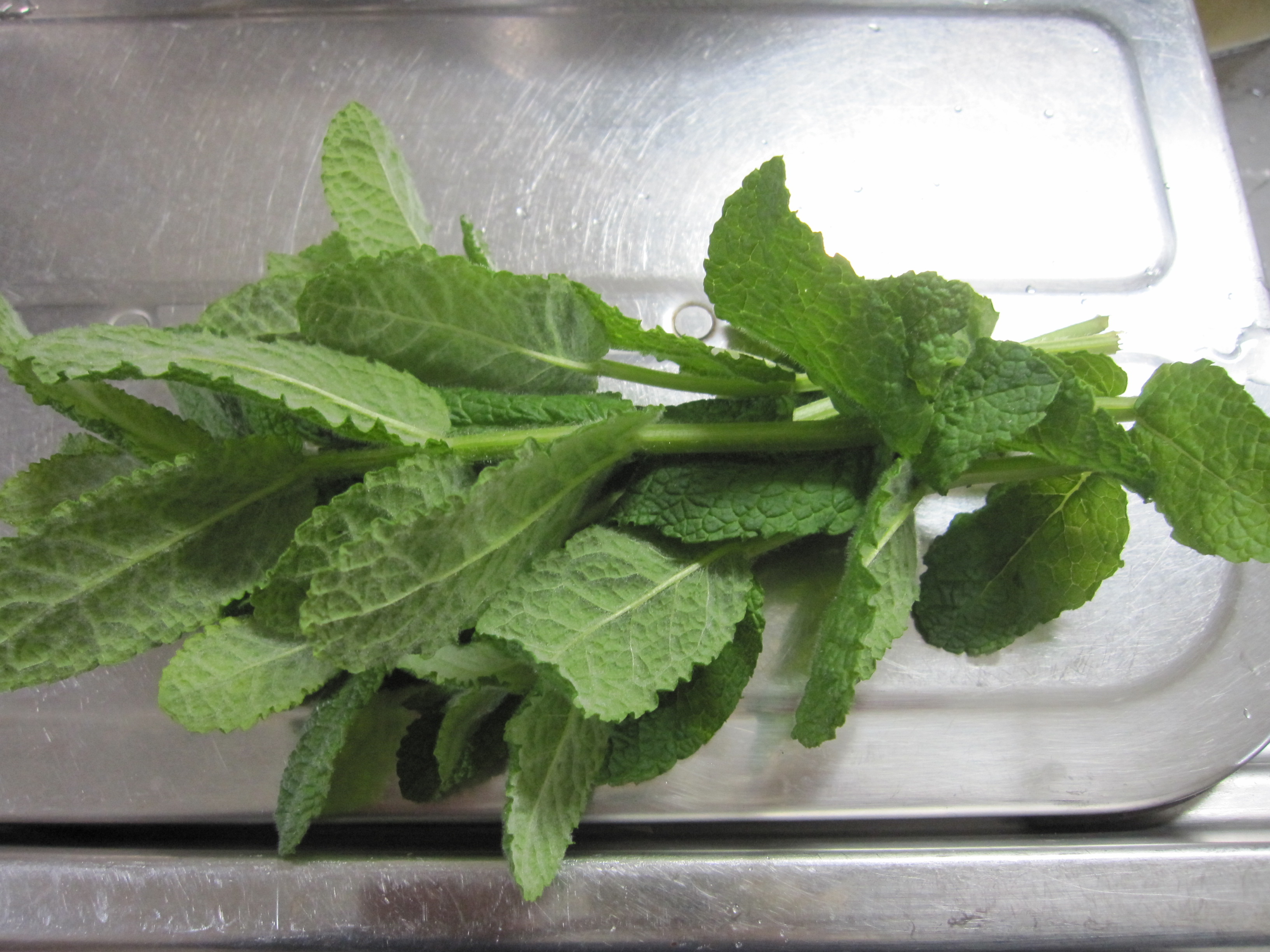 How to Make Natto from Mint – Omi-merchant's way of Sustainable Prosperity